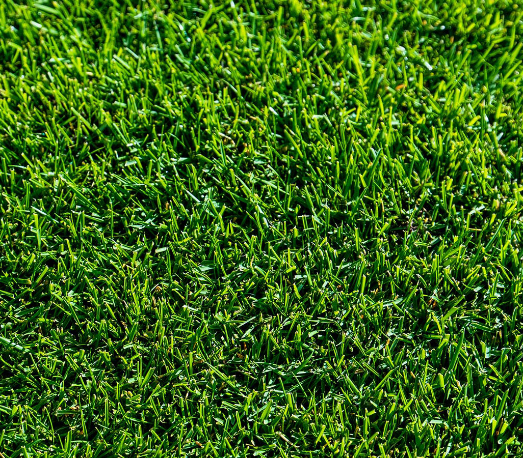 Tifway 419 Bermuda Grass Sod - Mississippi Sod | Sod Grass Delivery In ...